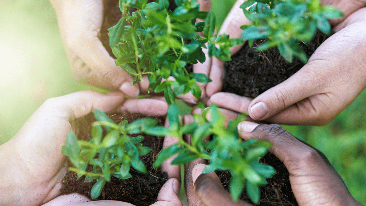 Conservation Tillage: Protecting Soil Health and Increasing Crop Yields ...