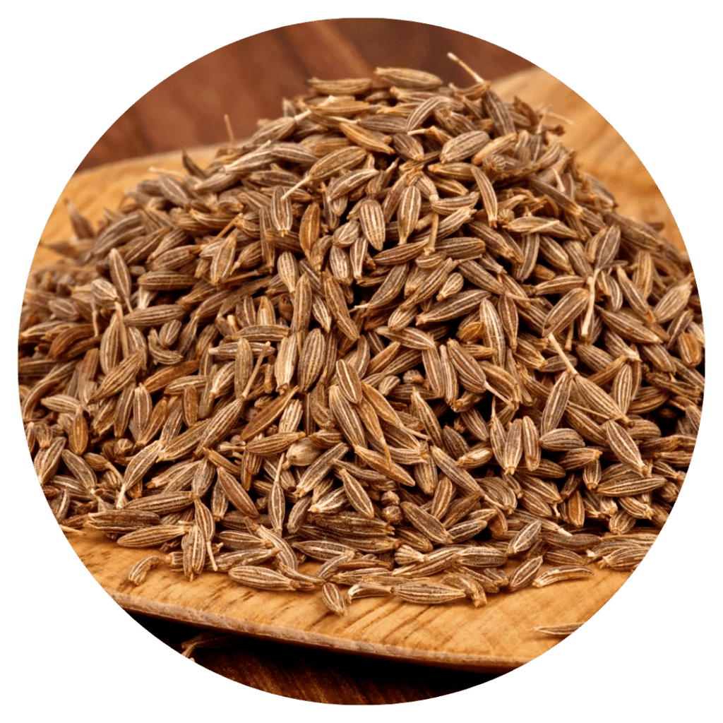 Cumin (Cuminum cyminum) - Pavitramenthe Fair Organic Pvt Ltd