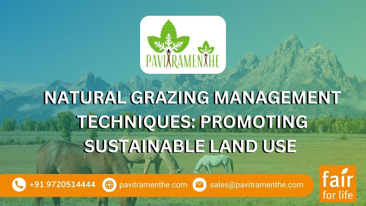 Natural Grazing Management Techniques: Promoting Sustainable Land Use ...