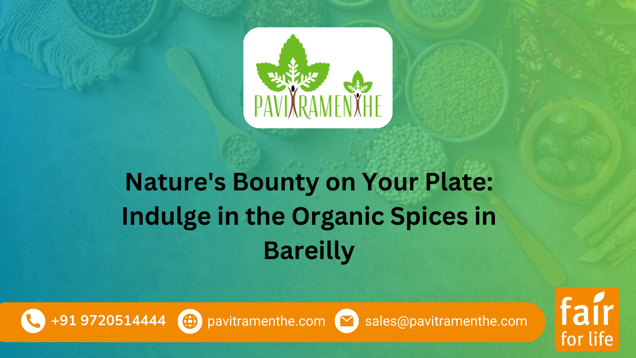 “Nature’s Bounty on Your Plate: Indulge in the Organic Spices in ...