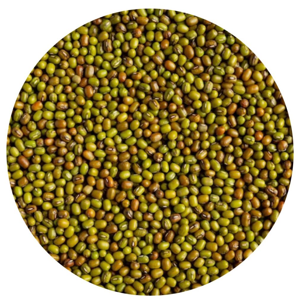 Moong Split Beans(Vigna radiata L.) - Pavitramenthe Fair Organic Pvt Ltd