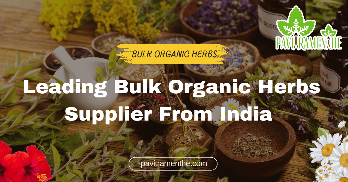 Leading Bulk Organic Herbs Supplier From India – Pavitramenthe Fair Organic Pvt. Ltd ...